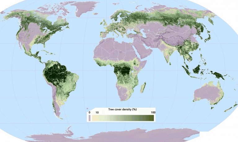 This Map of the World Shows Where Our Trees Grow – Artofit